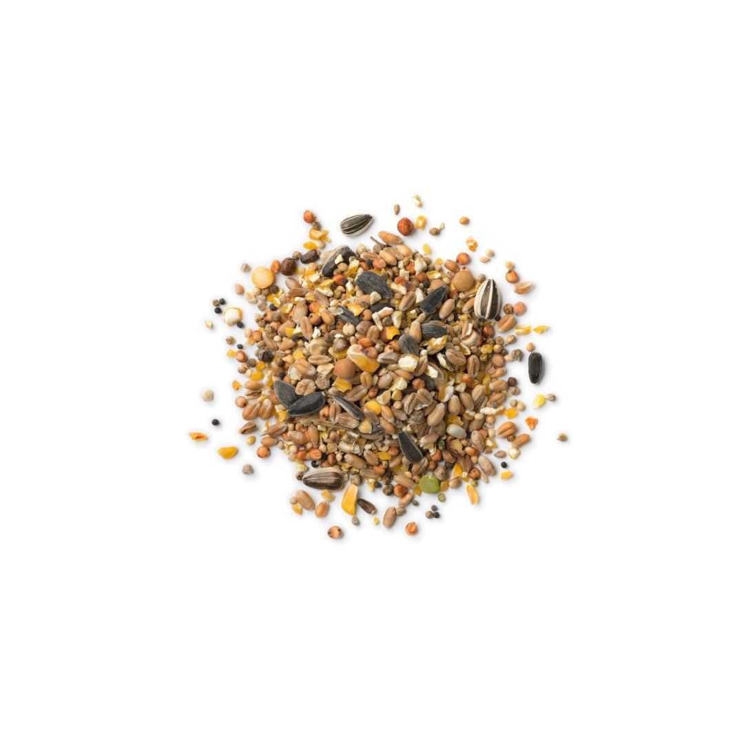Buy Premium Bird Food Dubai | Petz.ae